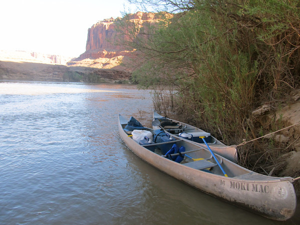 Colorado Plateau Naturalist of the Day Excerpt - Wild Rockies Field ...