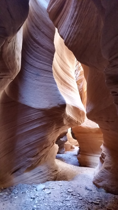 Sarah Bartz: Layer by Layer - Wild Rockies Field Institute