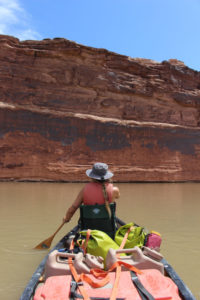 Sarah Bartz: Valuing the Intrinsic in an Instrumental Valued World ...