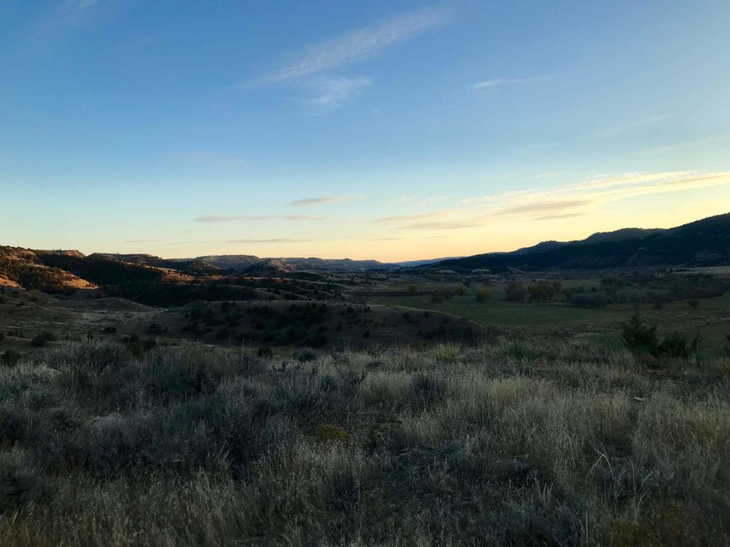 Redefining Action: Lessons from People and Place by Sarah Boatner ...