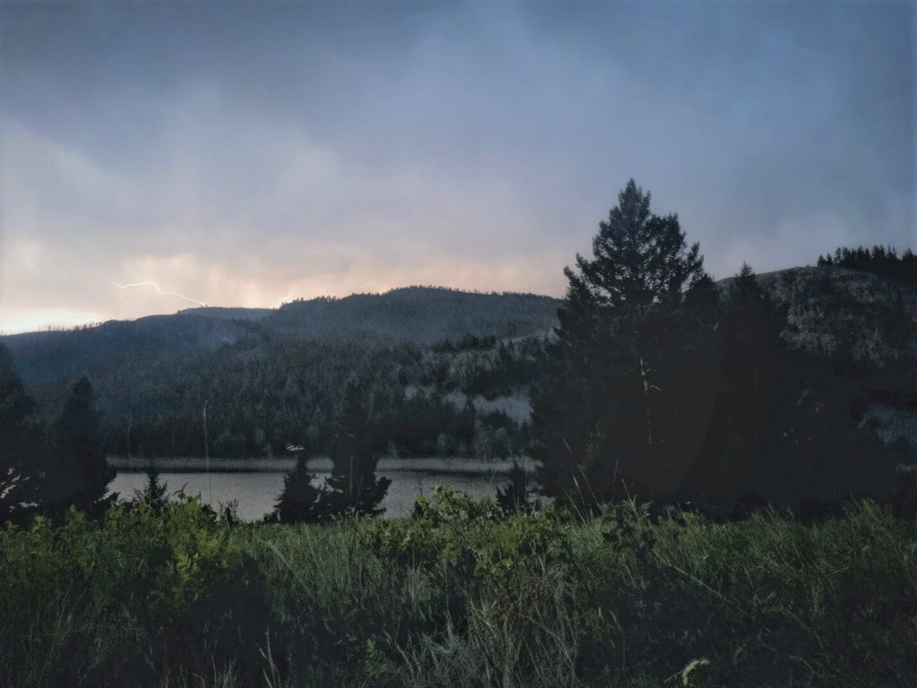 Landscapes and Lawnscapes by Caden Gallagher - Wild Rockies Field Institute