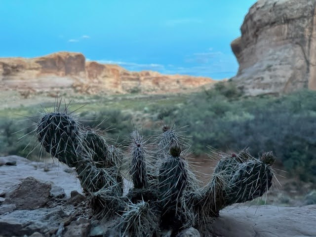 Finding Solitude and Self-Discovery: A Journey through the Canyons of ...